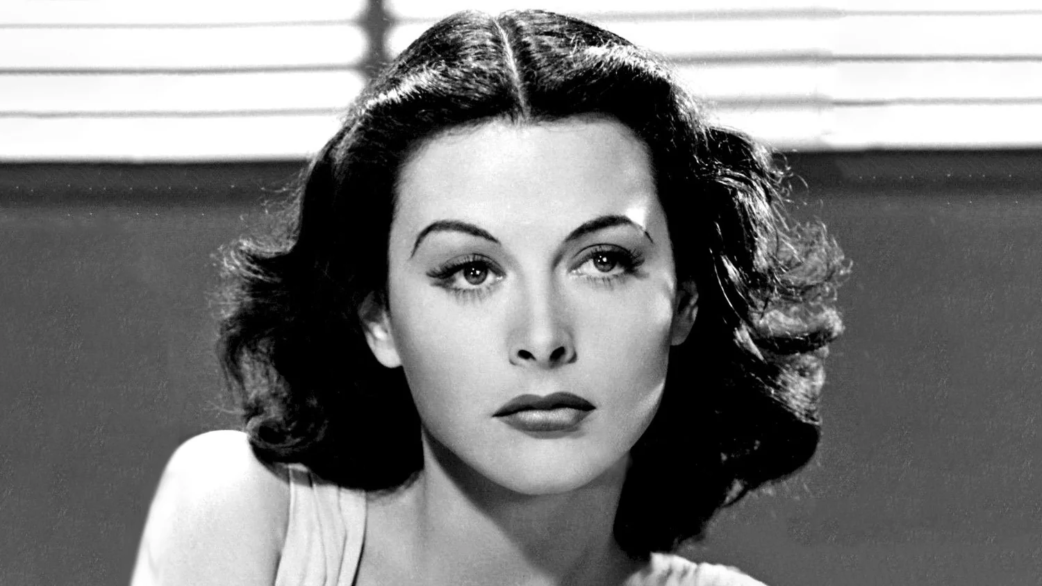 Intet Wi-Fi uten Hedy | rebel.no