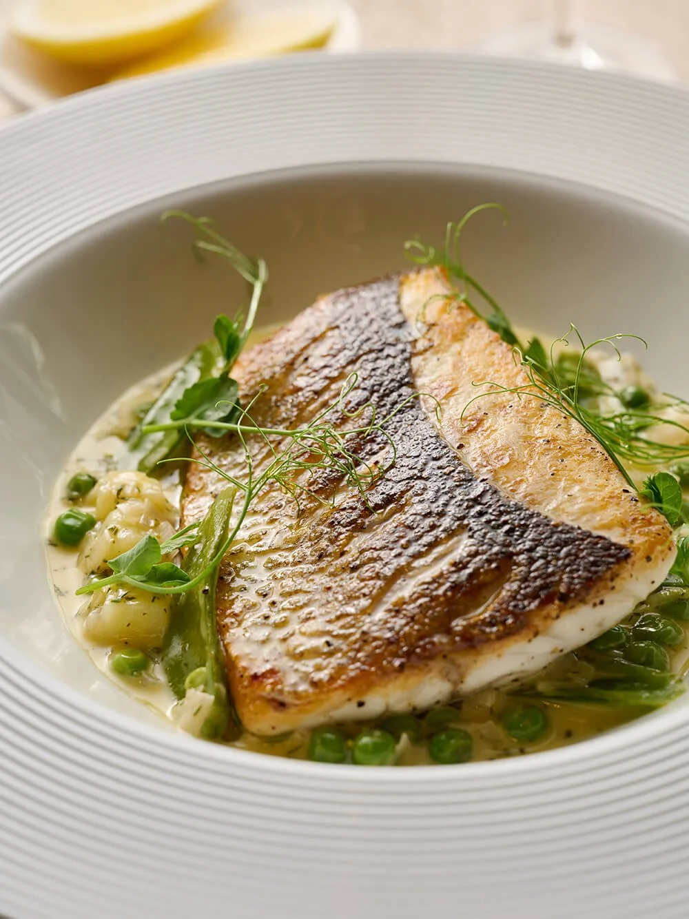 Gallery — Avli by tashas