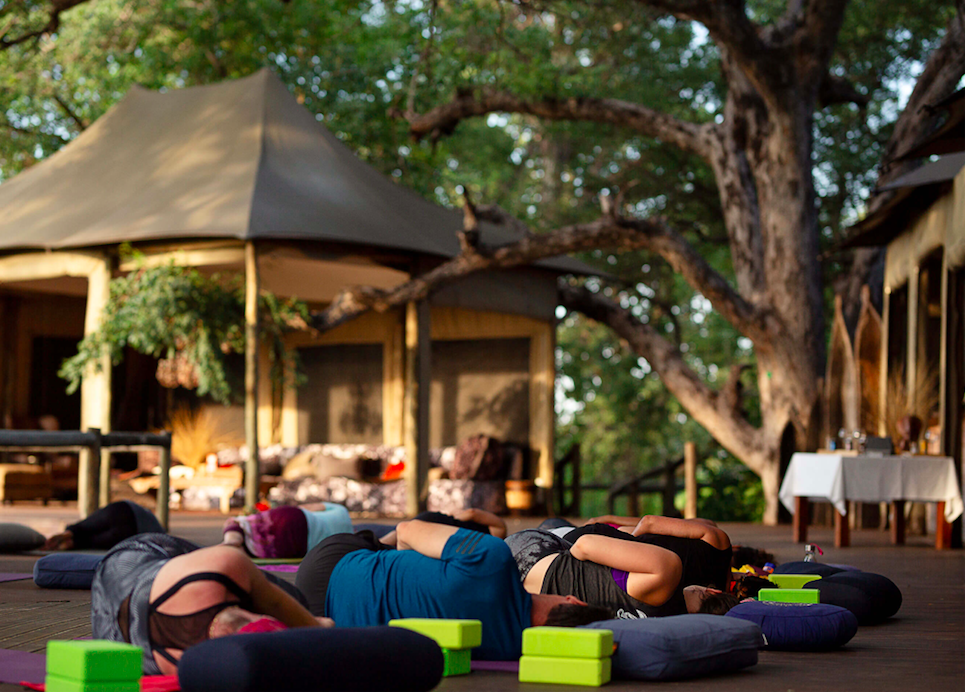 Namaste Yoga Safari