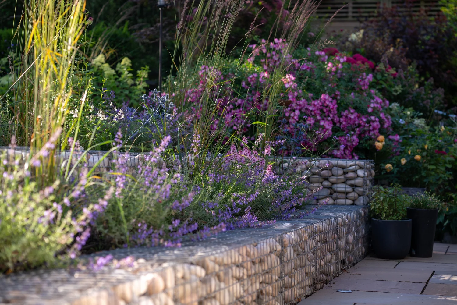 The Plant Hunter Garden Design