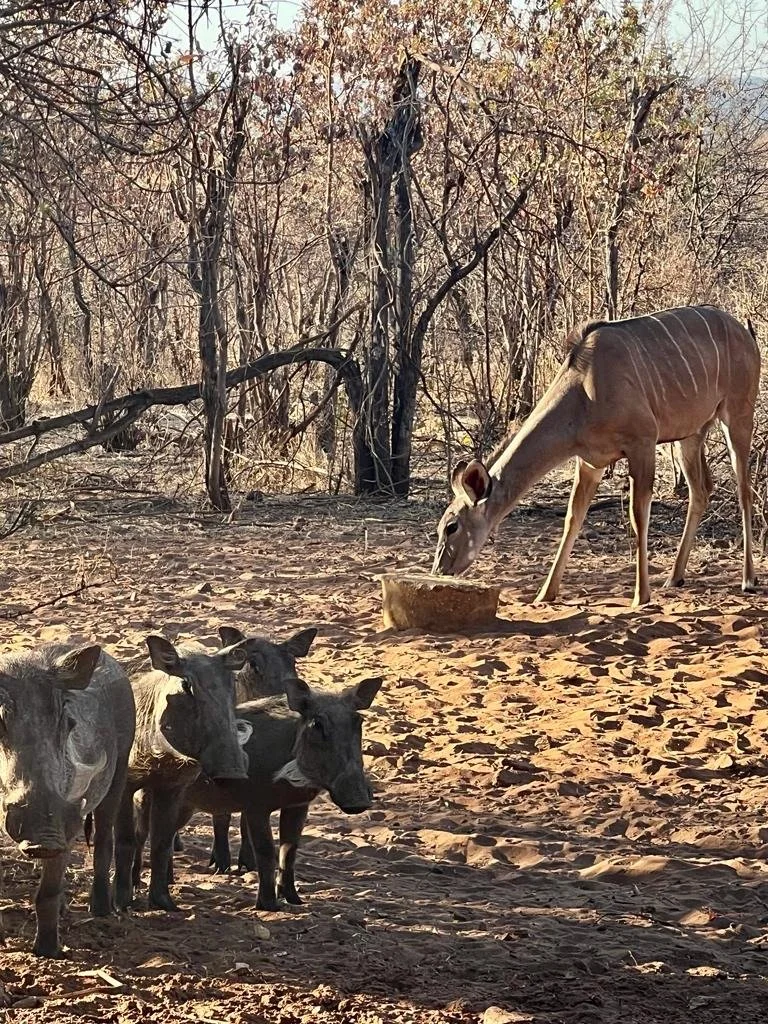 About Us — Dallas Keith Africa