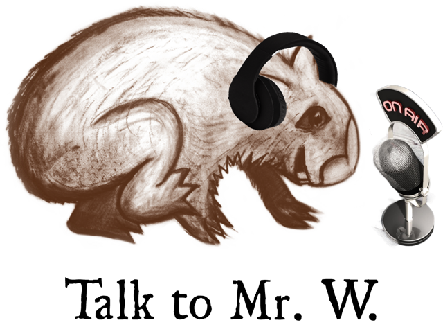 Connect — Wild Wombat Spirits