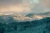 Roseland Resort + Campground