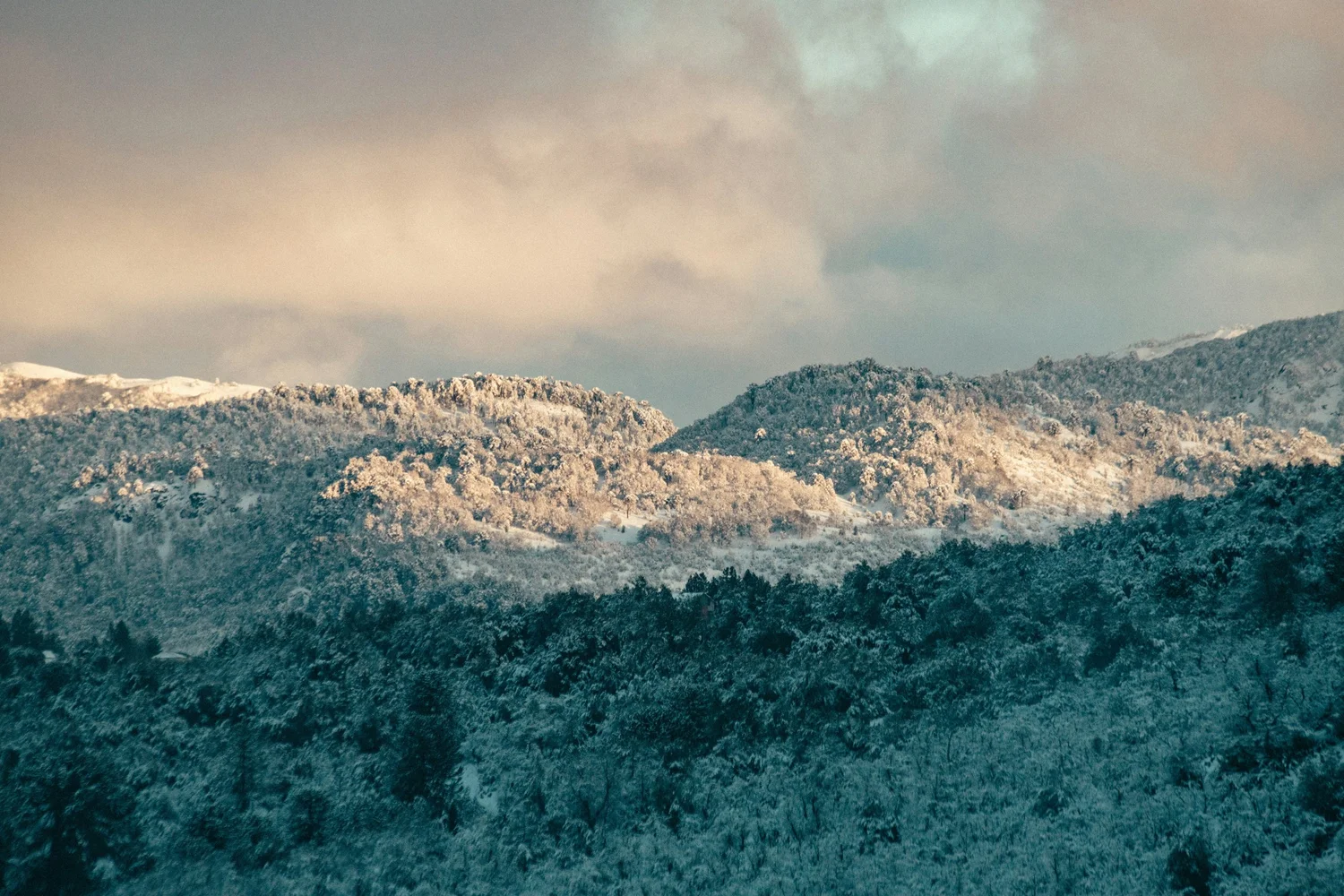 Roseland Resort + Campground