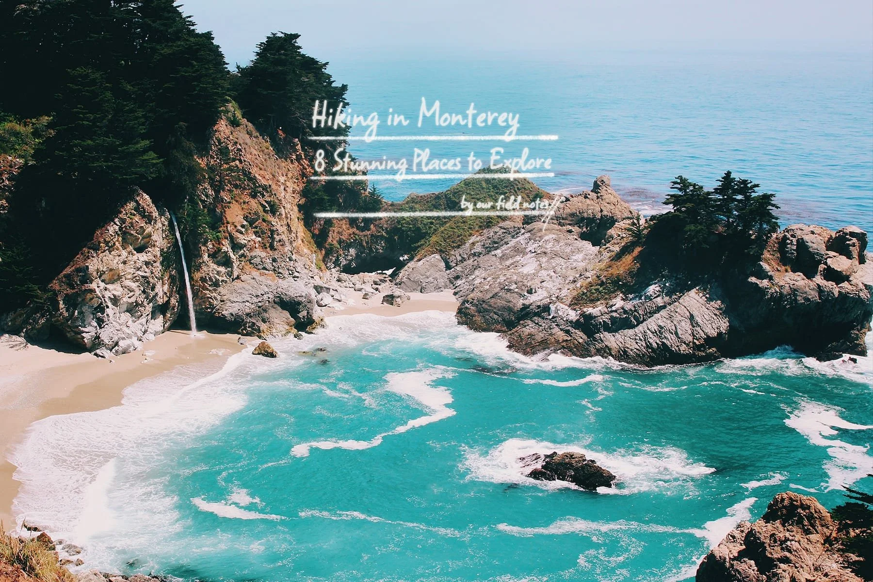 Hiking in Monterey: 8 Stunning Places To Explore — Our Field Notes