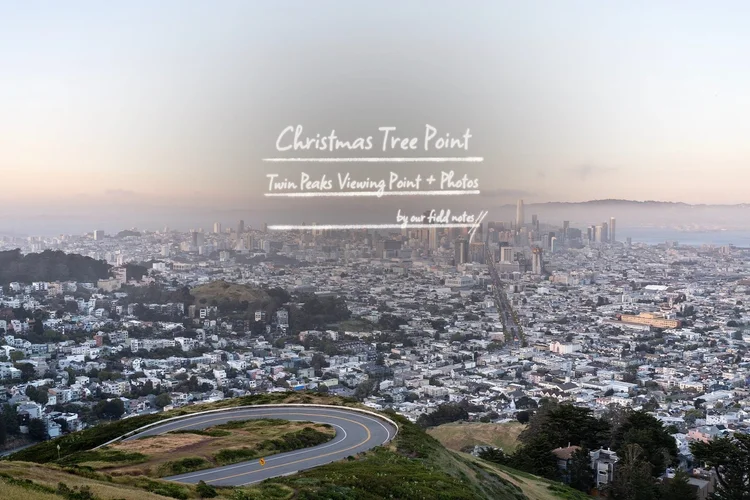 Christmas Tree Point (Twin Peaks Viewing Point + Photos) — Our Field Notes