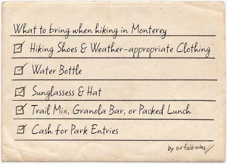 Hiking in Monterey: 8 Stunning Places To Explore — Our Field Notes