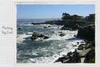 Hiking in Monterey: 8 Stunning Places To Explore — Our Field Notes