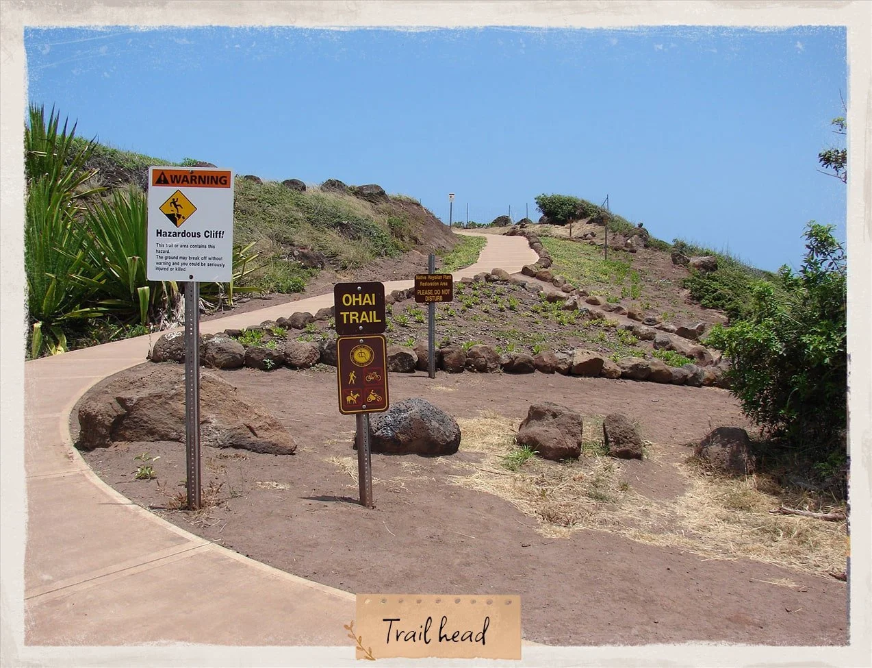 Ohai Trail Loop - Underrated Trail in West Maui — Our Field Notes