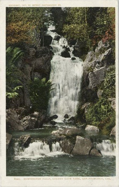 Huntington Falls (Hidden Gem In Golden Gate Park) — Our Field Notes