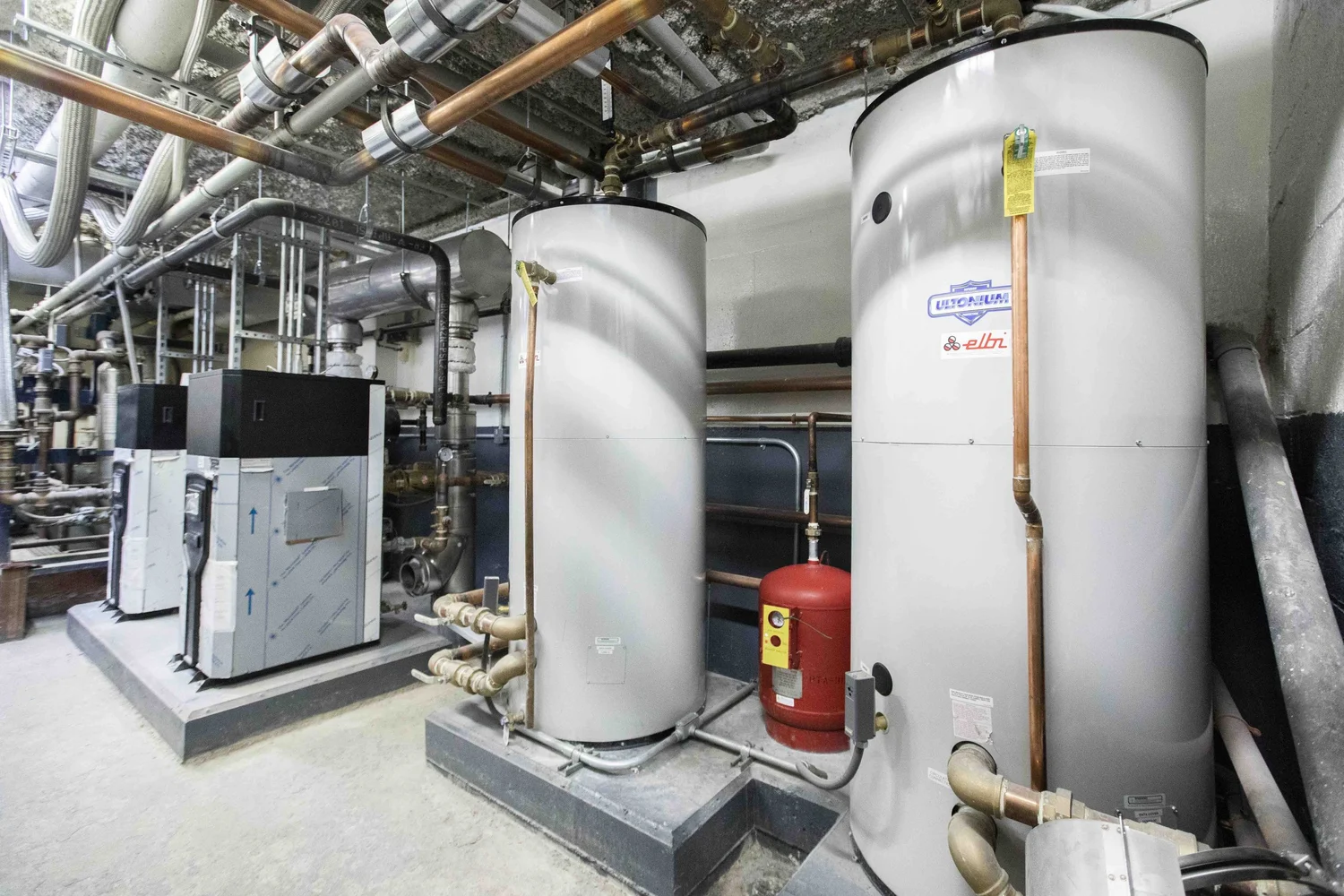 Berry Houses — Toro Builds