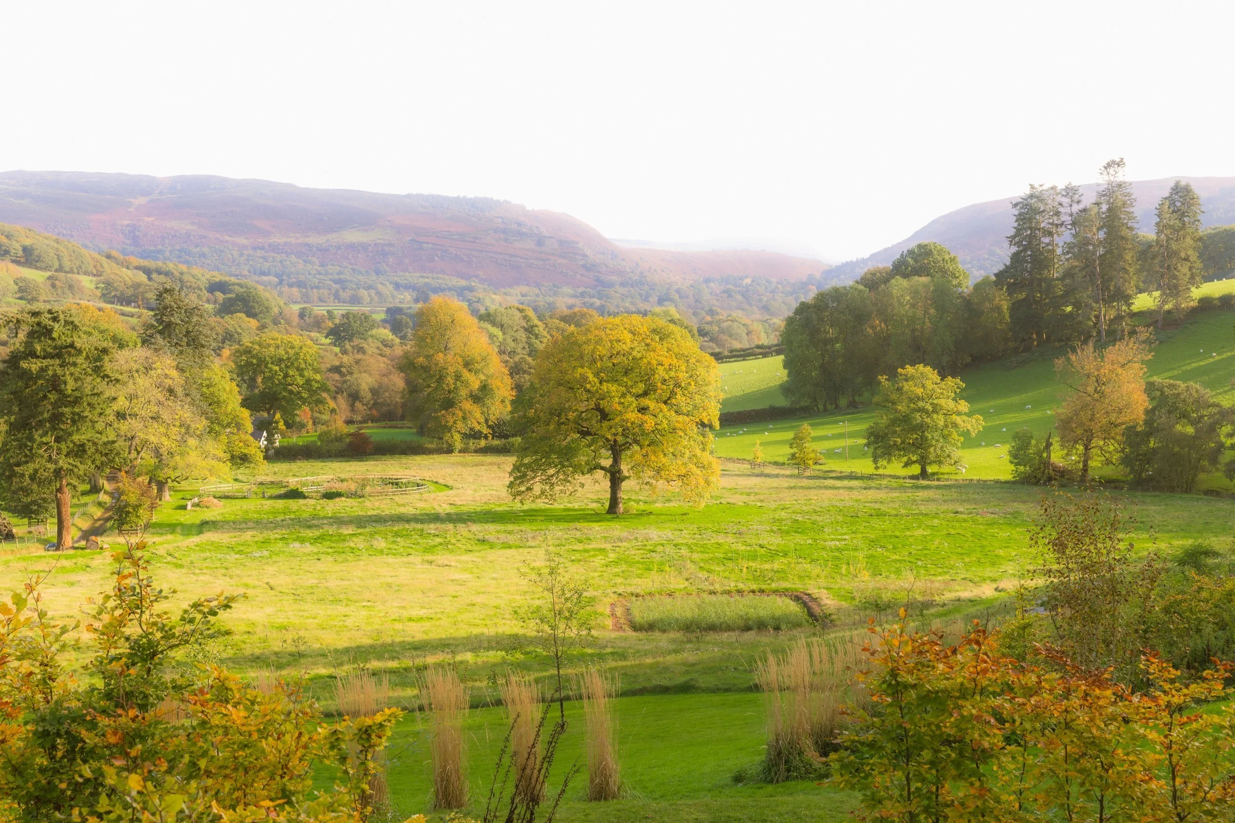 Samhain Retreat — The Dreaming