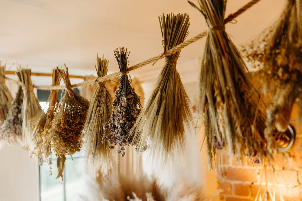 Communal Spaces — The Dreaming