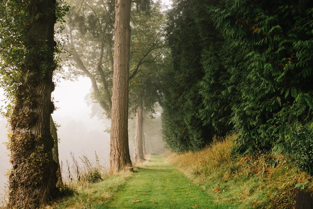 Witch Retreat — The Dreaming