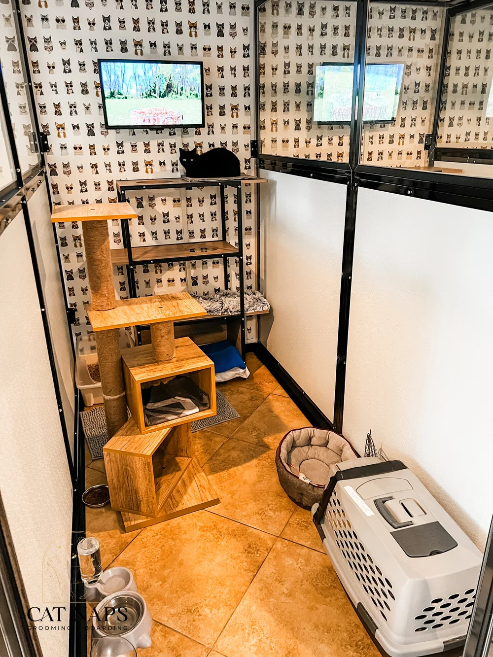 Contact 3 — Cat Naps