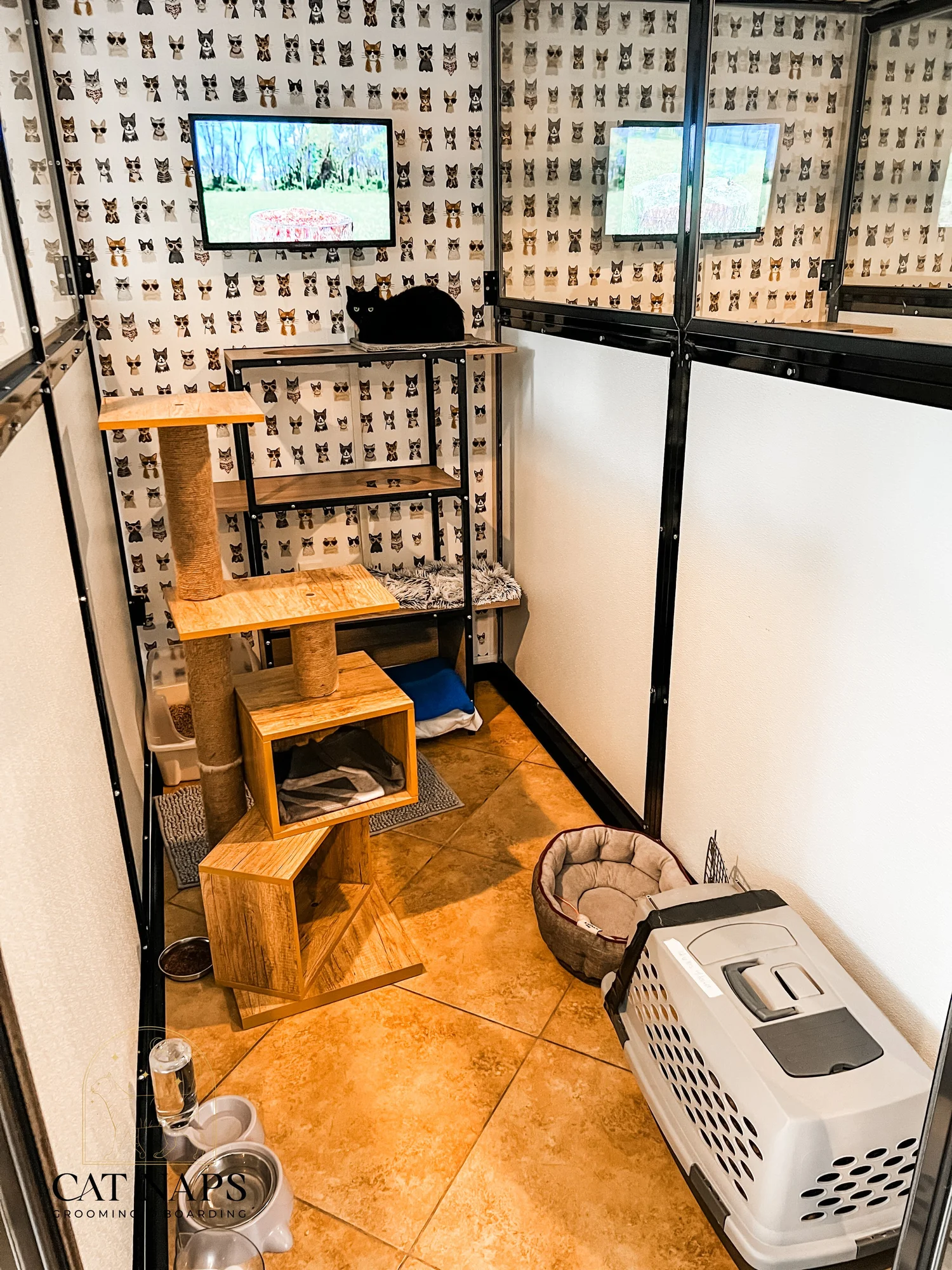 Contact 3 — Cat Naps