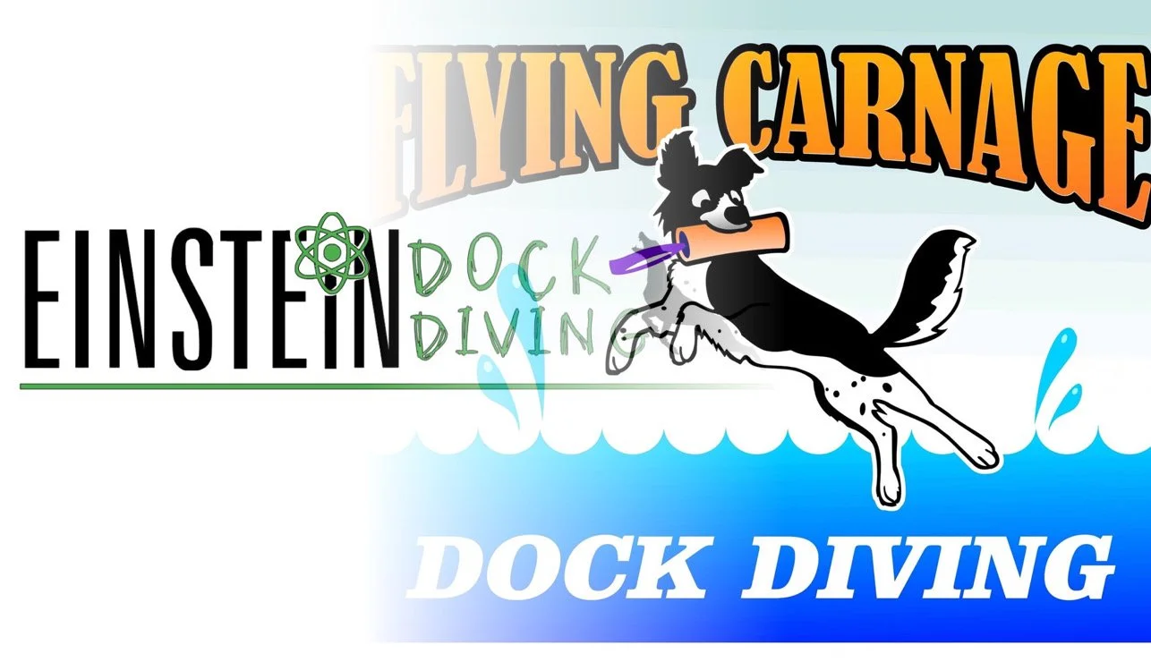 Upcoming Events | Join Exciting Events Today — United Dock Diving