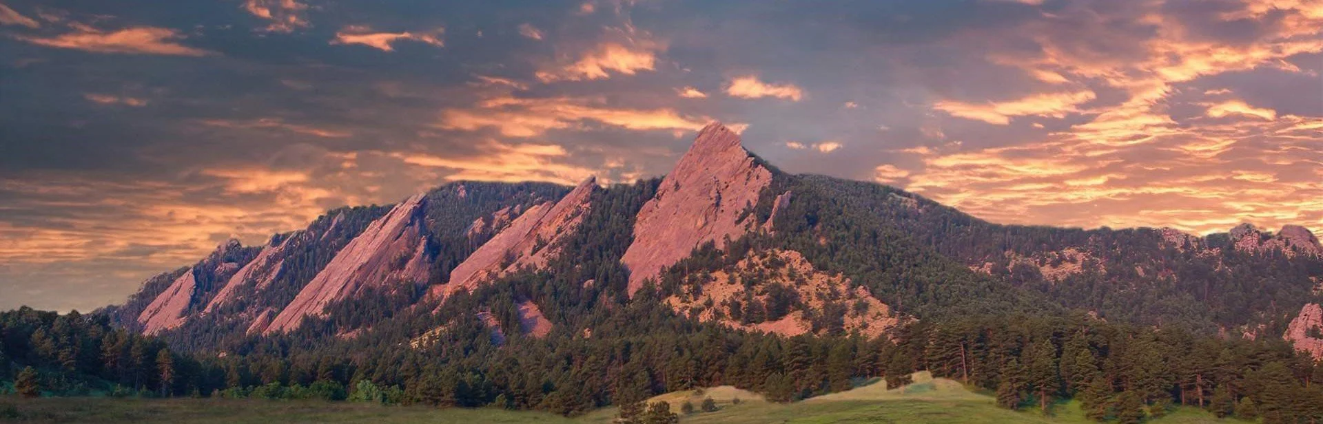 Schedule — CU Real Estate Club