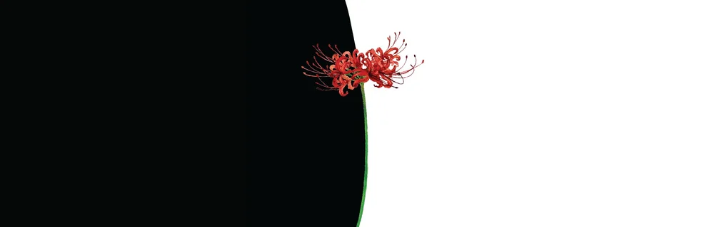 About — Hanabi Hibachi & Sushi