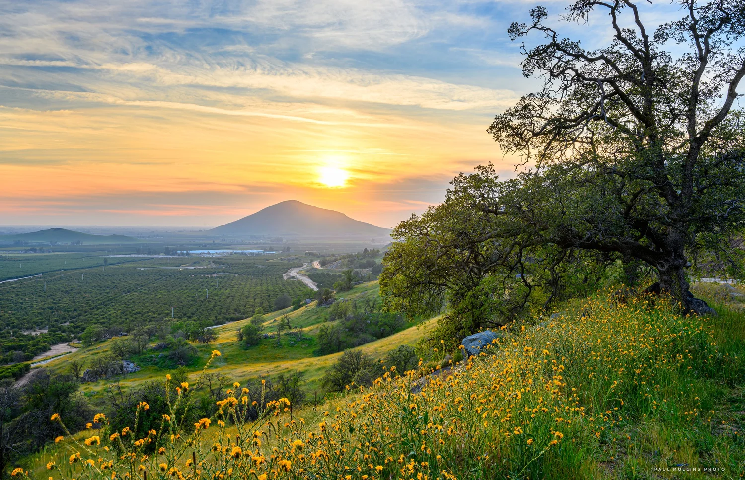 Tulare Basin Watershed Network