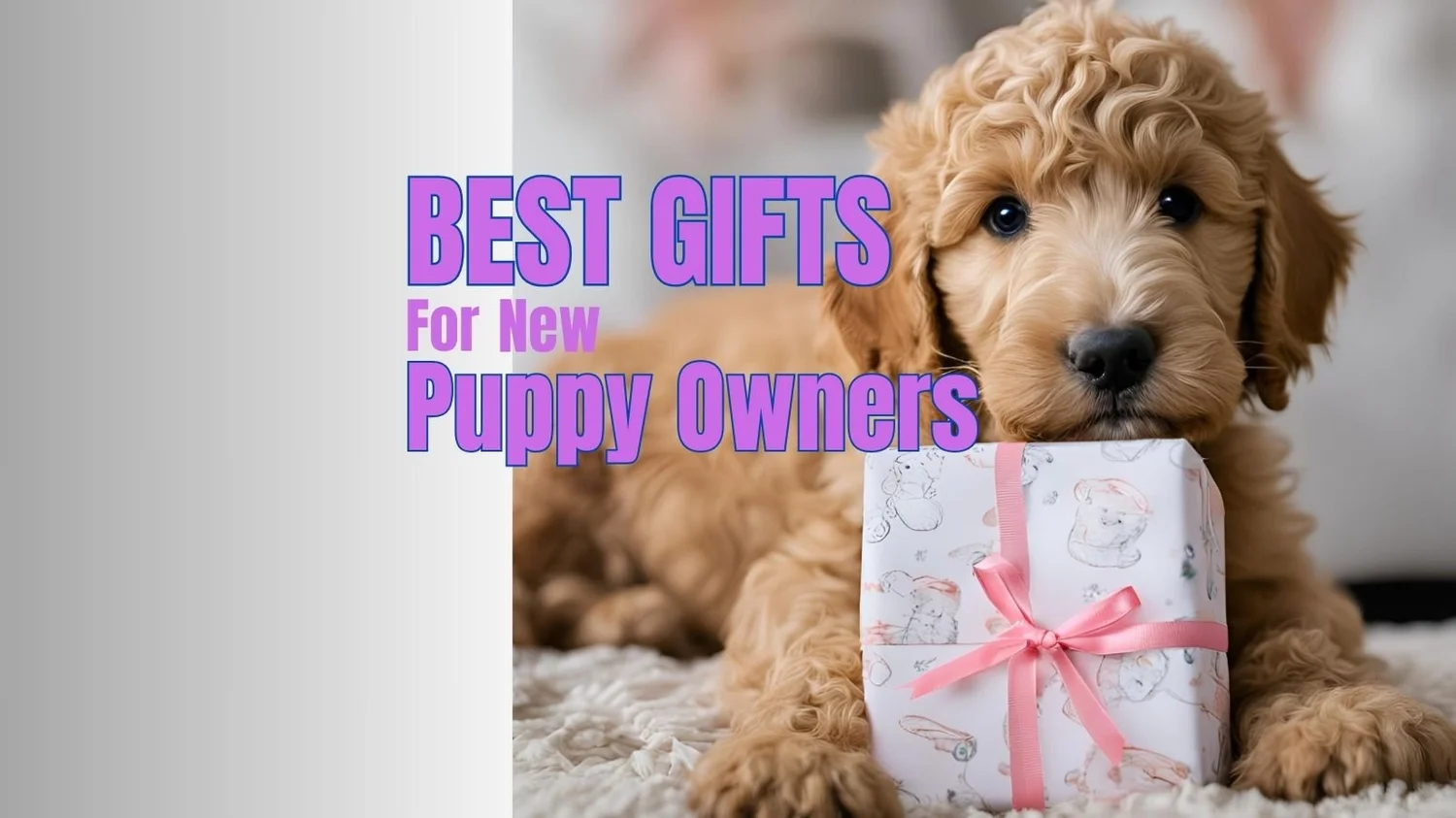 Best Gifts for New Puppy Owners — Our Doodle Life