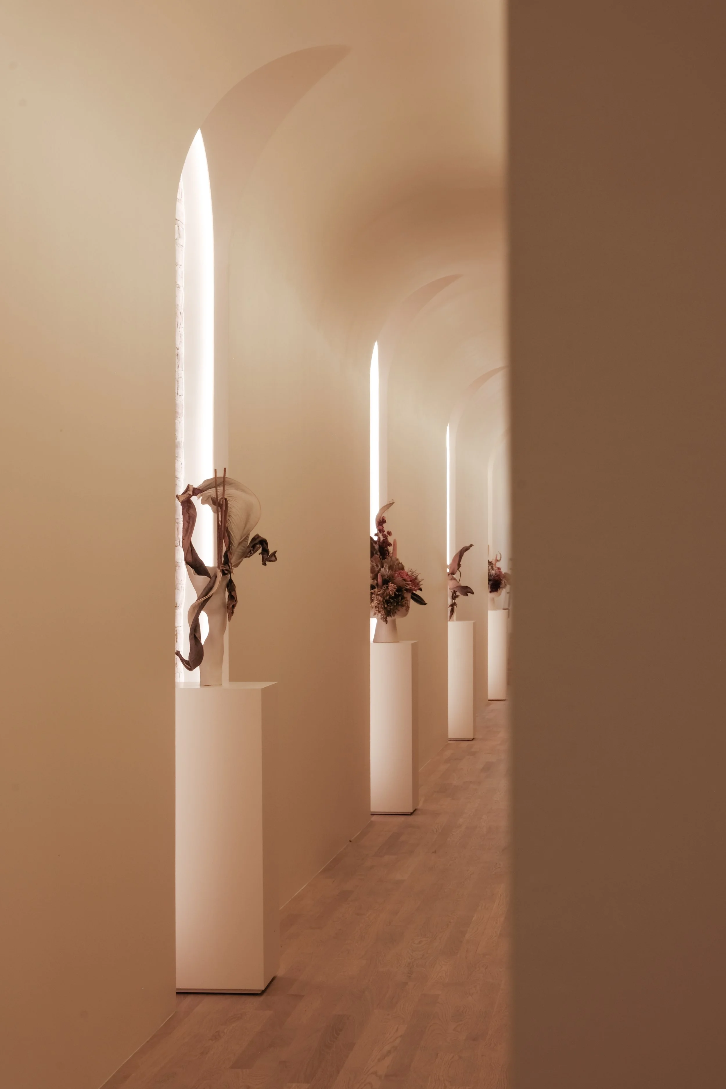 The Next — TWO MUSE STUDIOS