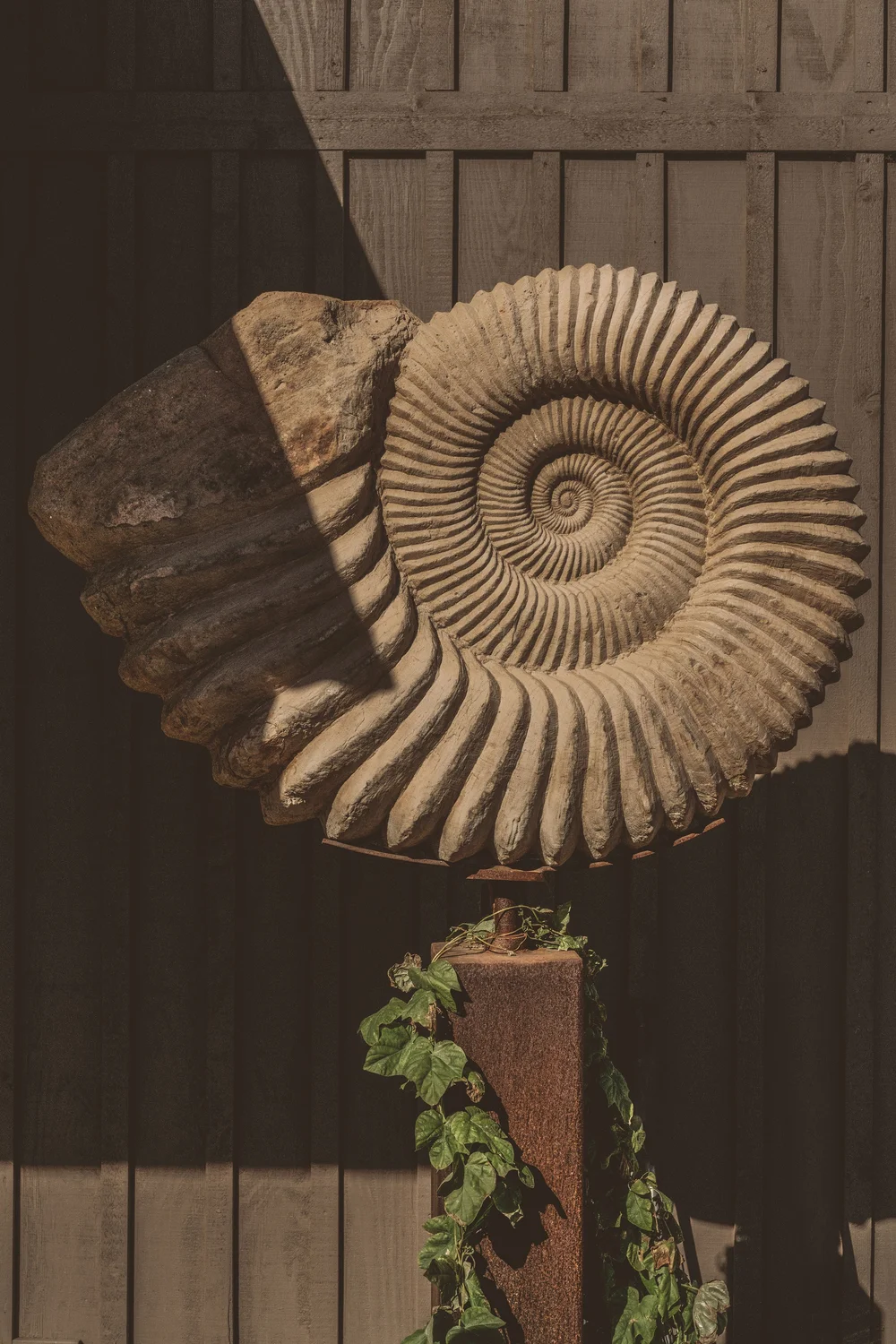 SEA COLLECTION — Woodward Marine Market