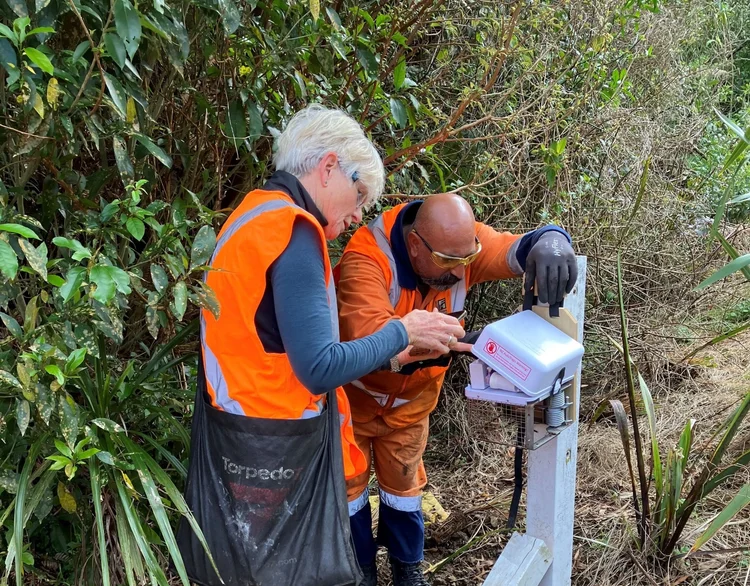 Get the Most Out of Your AT220 Trap — Predator Free Tamahere