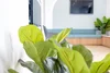 MyLocalDoc Caloundra