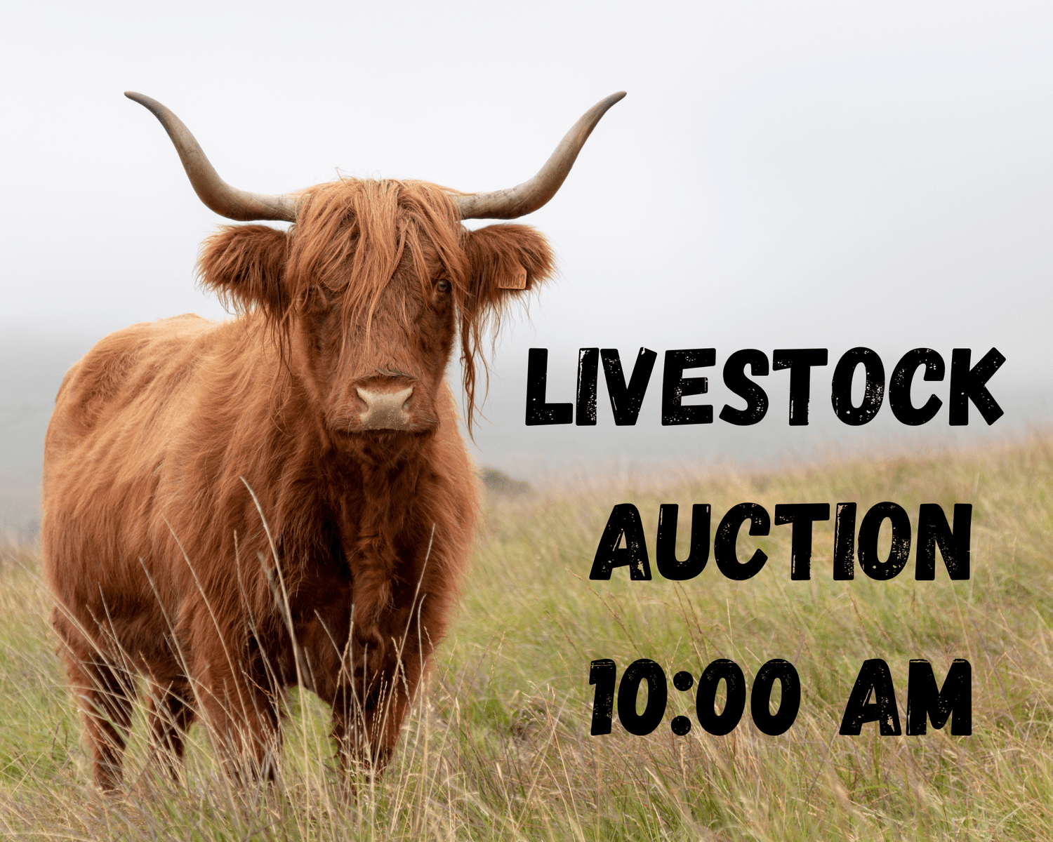 CALENDAR — Eugene Livestock Auction