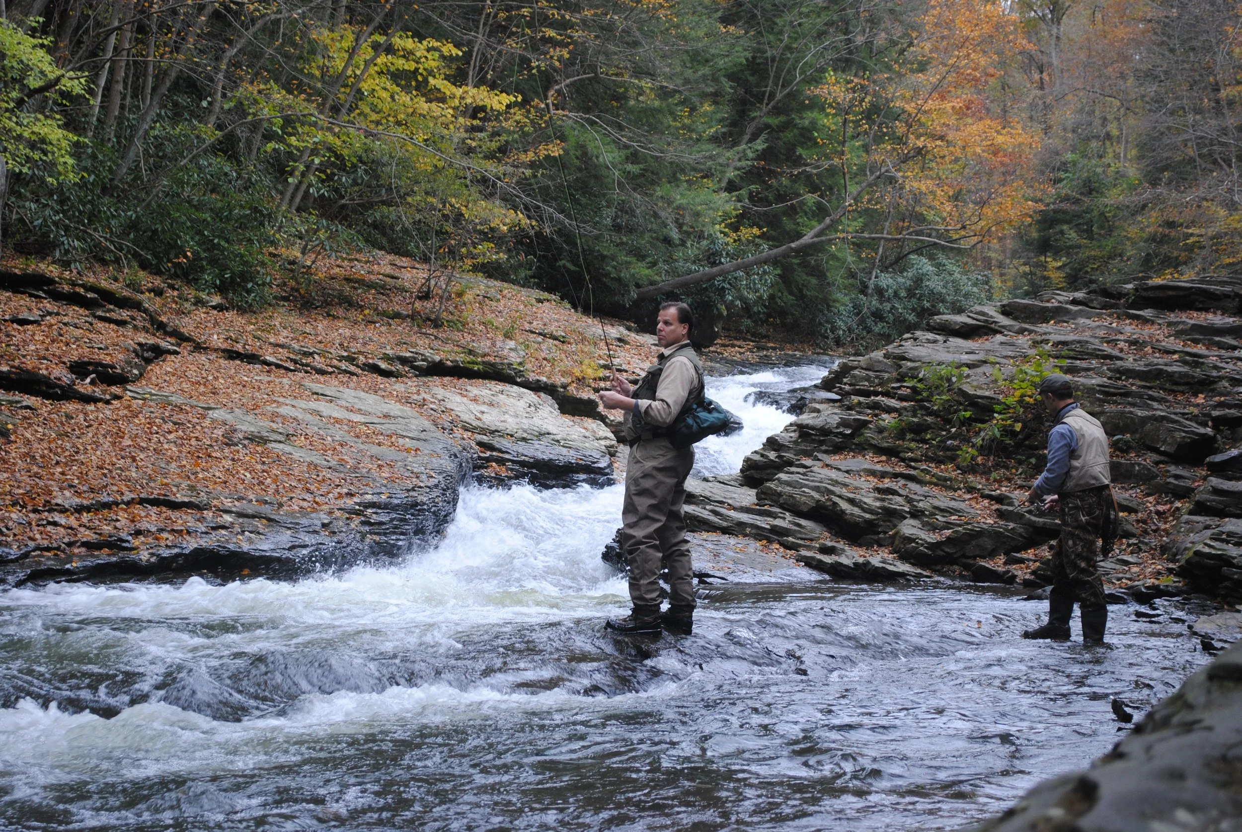Meadow Run — Laurel Highlands Trout Trail