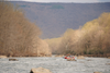 Youghiogheny River — Laurel Highlands Trout Trail