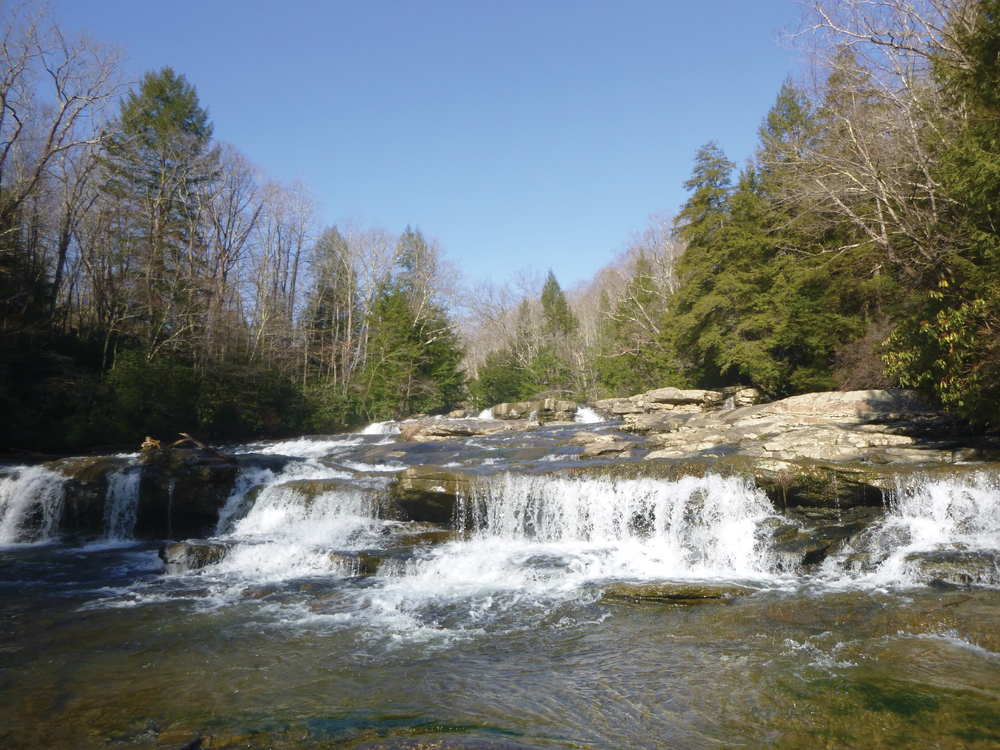 Meadow Run — Laurel Highlands Trout Trail