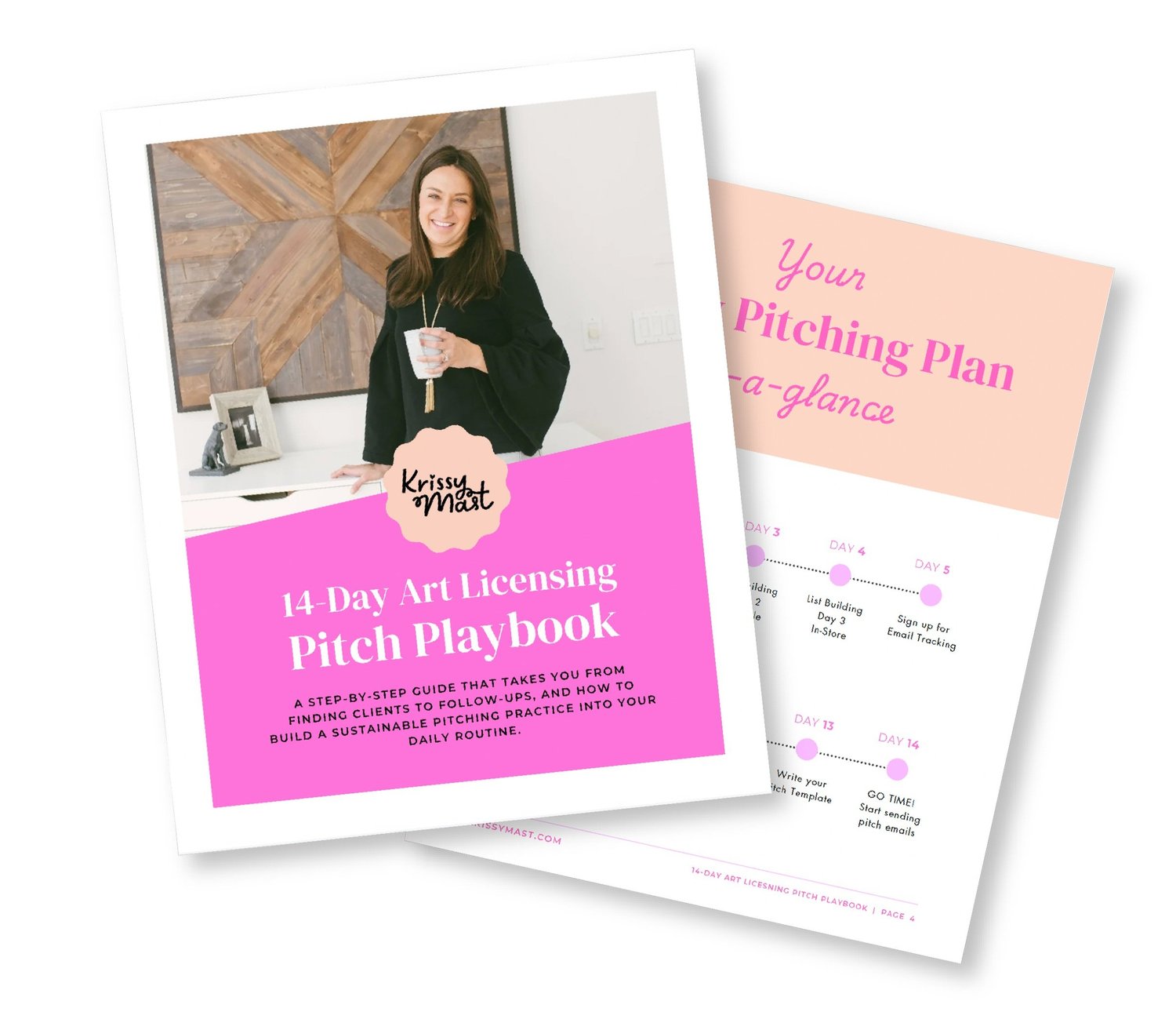 14 Day Art Licensing Pitch Playbook | Start Pitching Today – Grow Your ...
