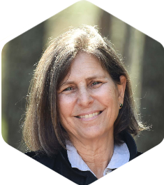 About CAM — Cultural Alliance of Maine