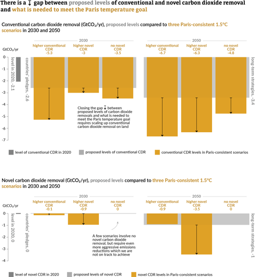 The State of Carbon Dioxide Removal