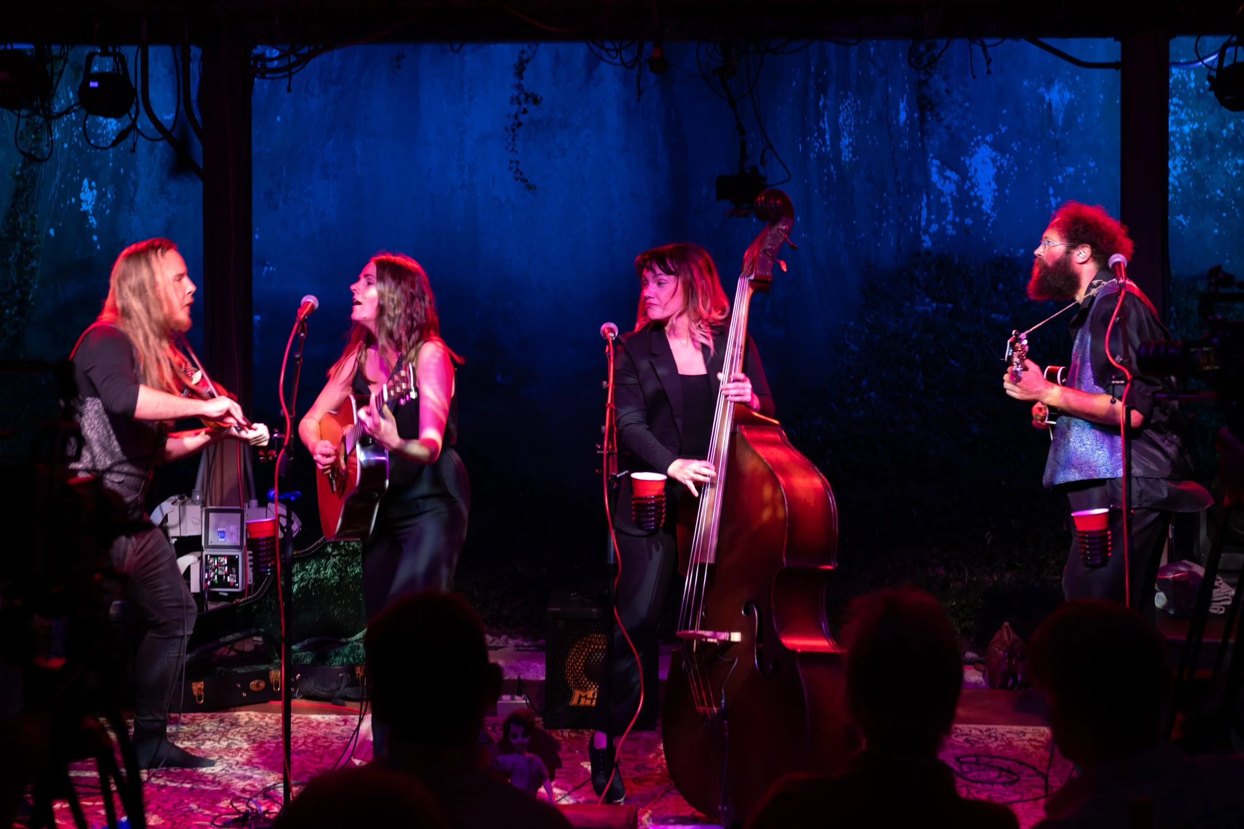 EPK — Mama Said String Band