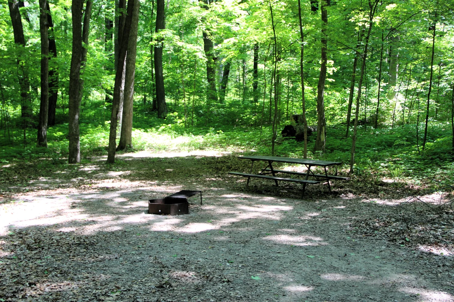 The Campfire Mat — CAMPFIREMAT