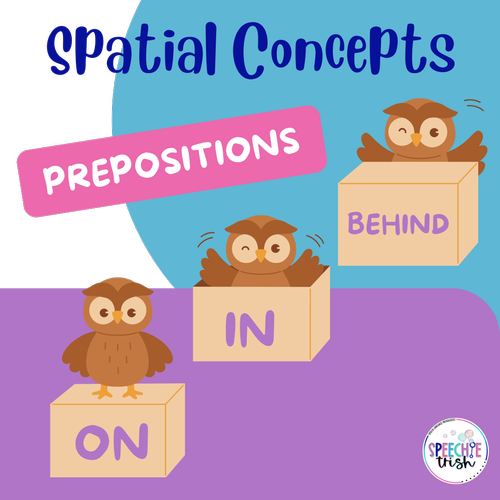 Preposition and Spatial Concept Acquisition and Activities for ...