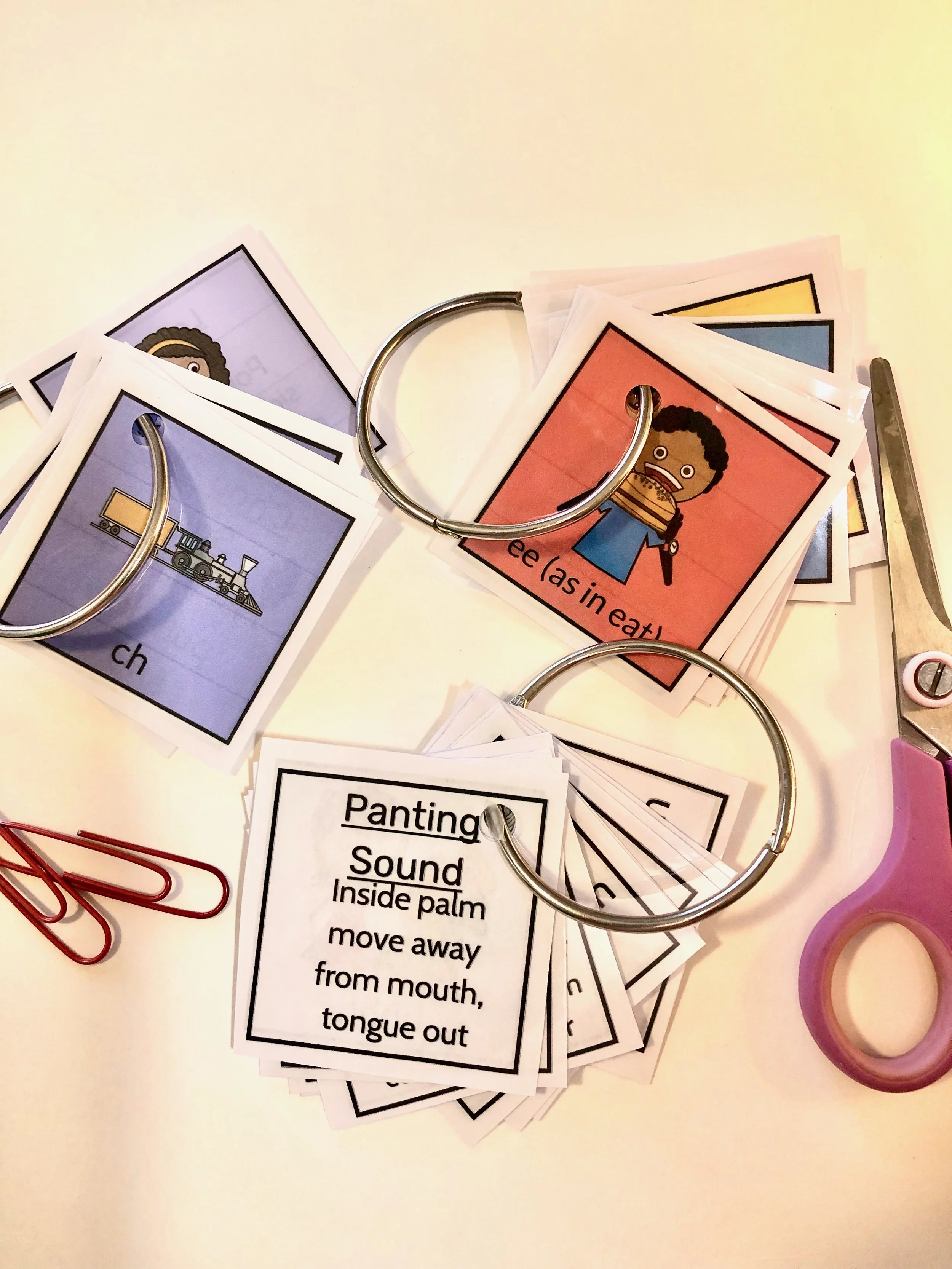 Essential items for Speech language pathologists to have in their ...