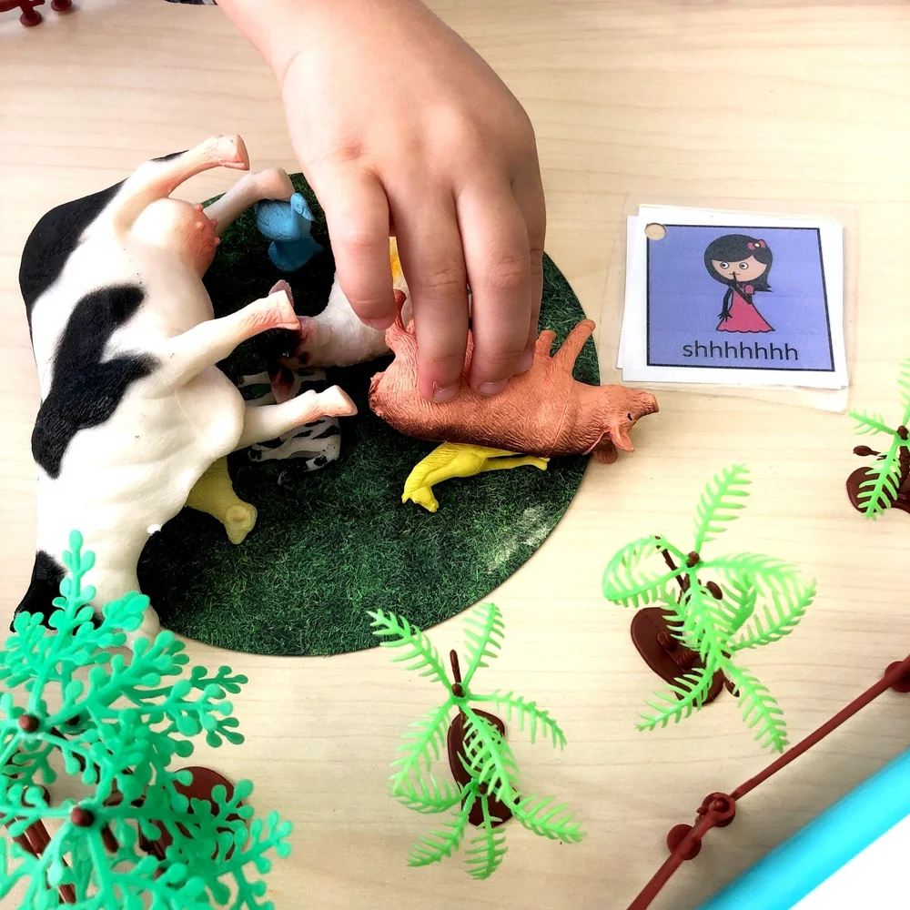 speech sound visual picture cue cards for speech therapy — SpeechieTrish