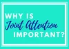 Joint Attention with Toddlers: What It Means (and Why It's a Important ...