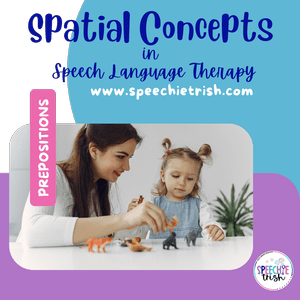 Preposition and Spatial Concept Acquisition and Activities for ...
