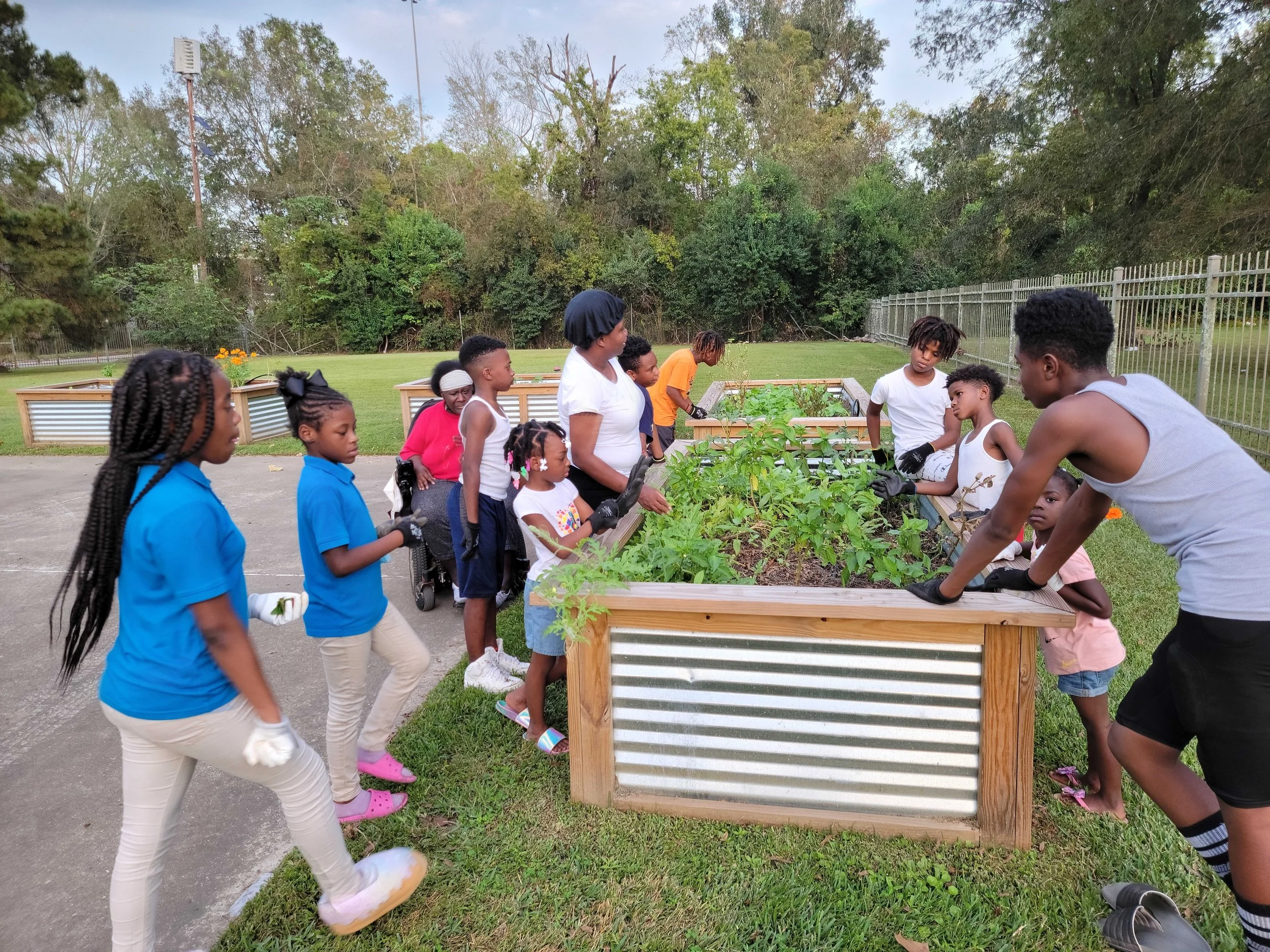 Community Gardens — Baton Rouge Garden Alliance