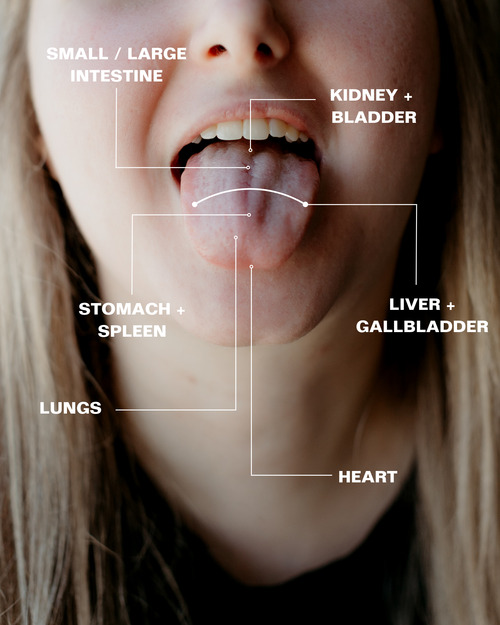 TCM Diagnosis — Wildflower Clinic