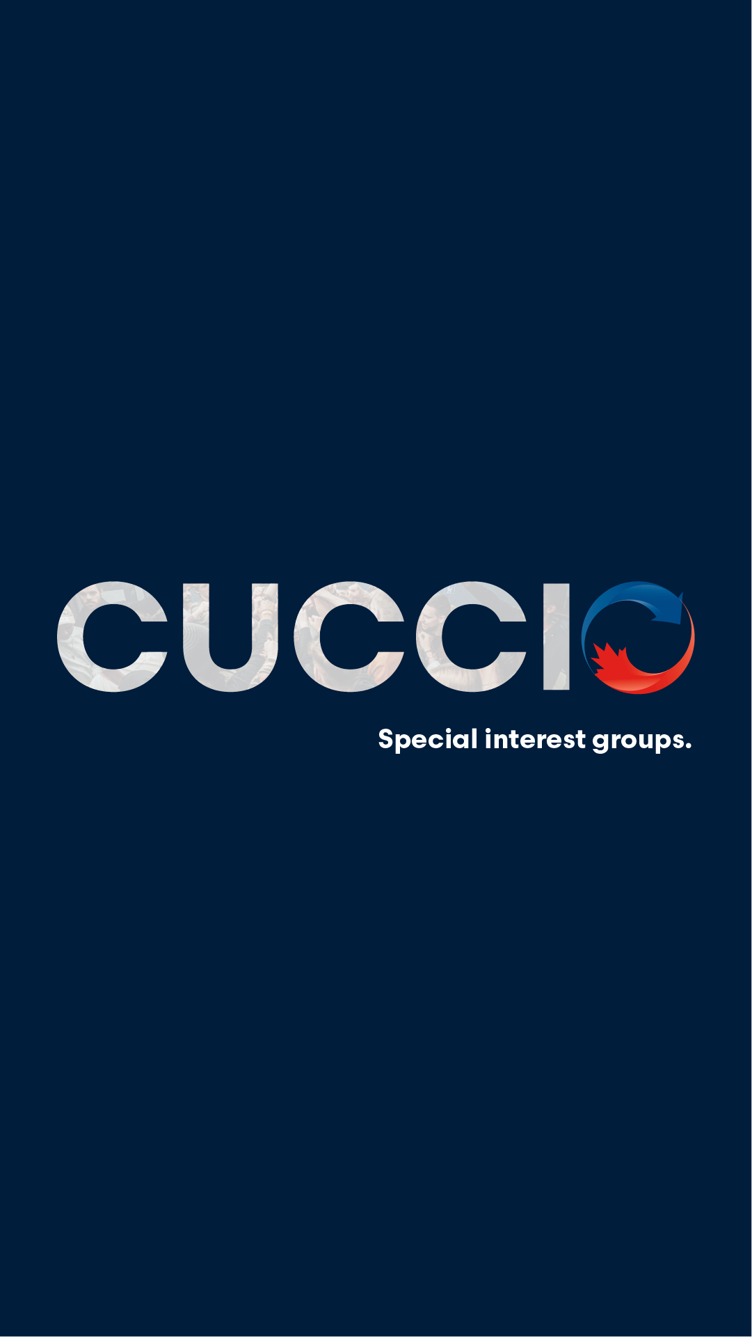 Gallery 3 — CUCCIO