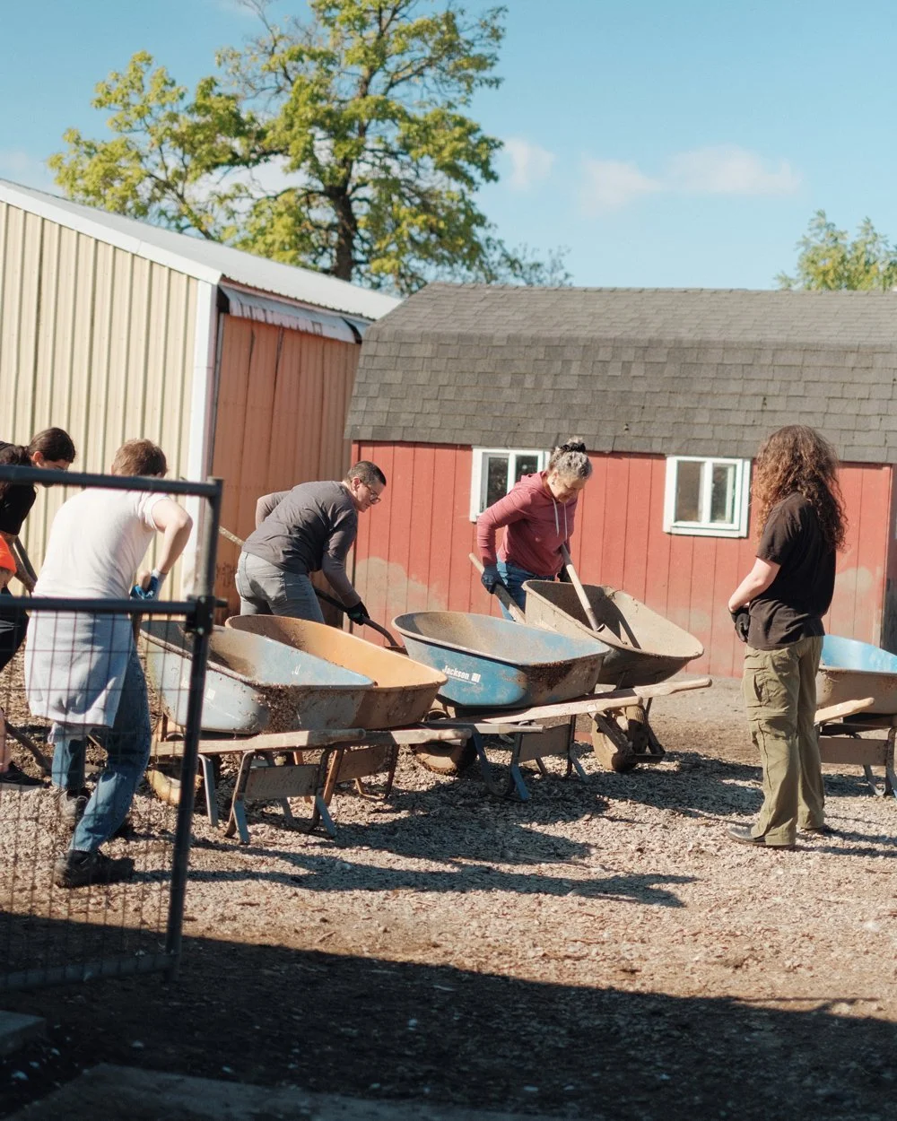 Lighthouse Sanctuary Work Party — Northwest VEG