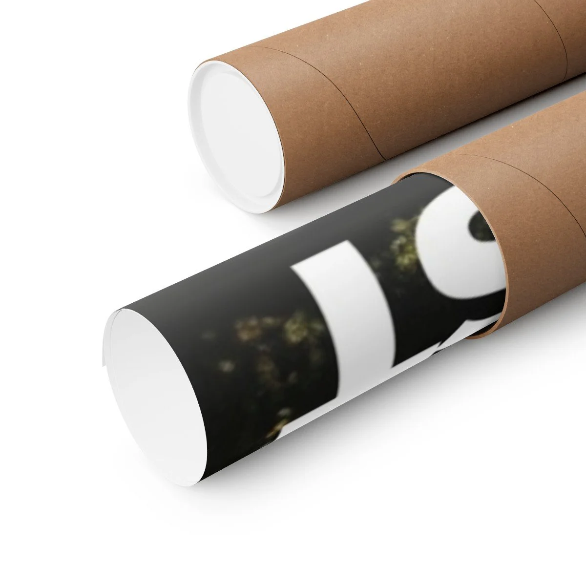 Store 1 — New Christendom Press