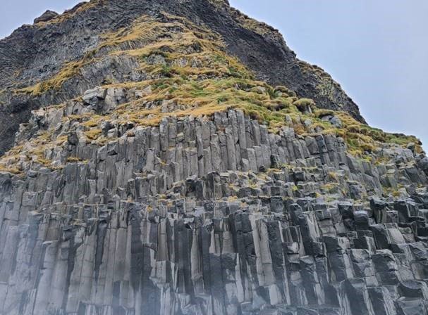 New Blog — Friends of Blue Sky Canyon