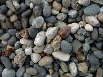 Decorative — BARK & BOULDERS